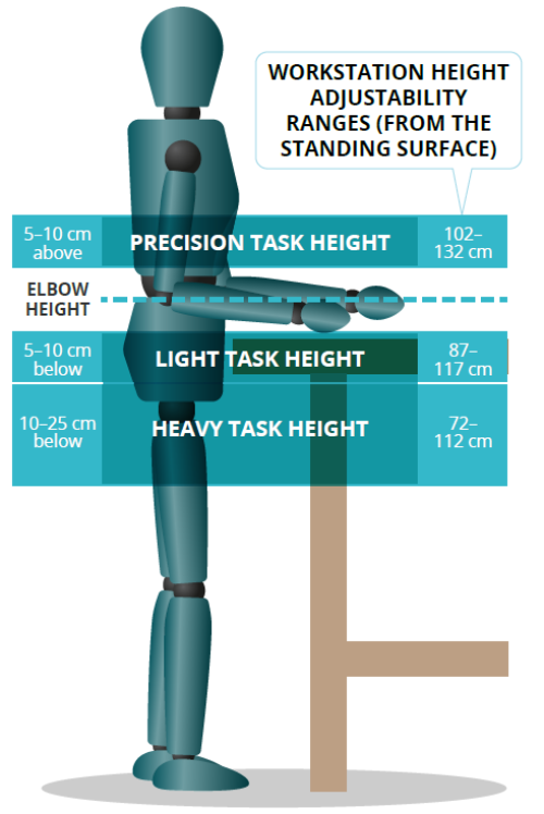Standing Workstation Height for Manual Tasks MSD Prevention Guideline for Ontario
